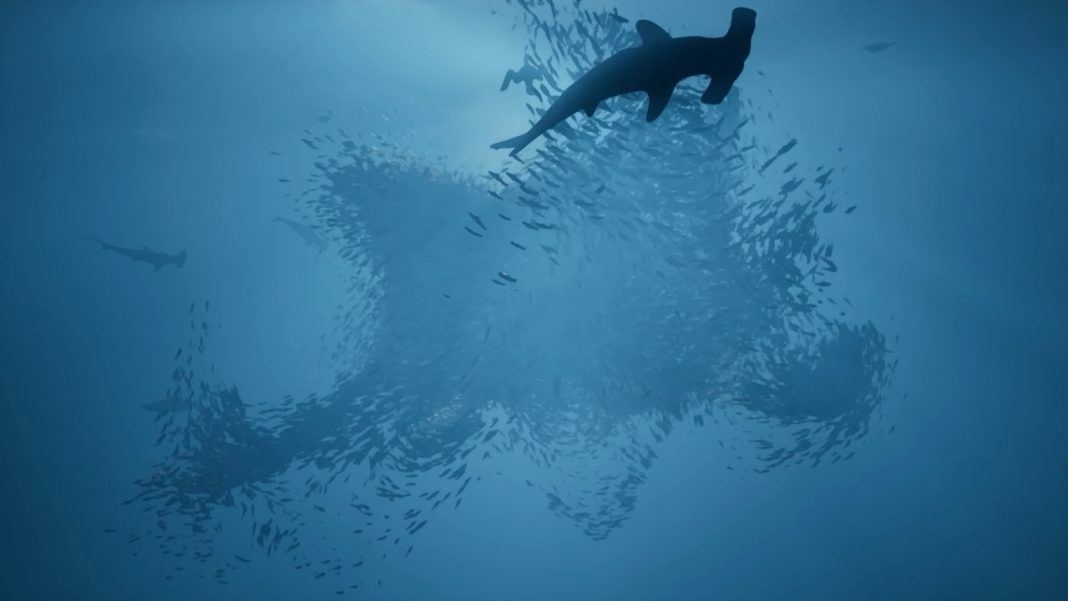 Whale Fall is a beautiful UE5 ocean-exploration game coming this summer ...