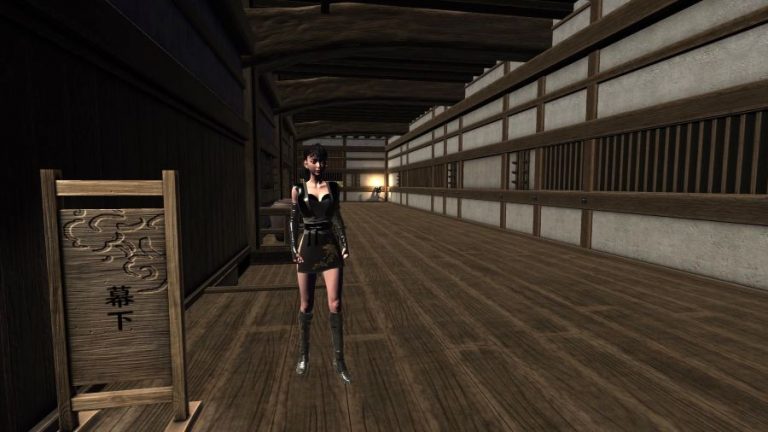 Am I in Japan or not? 3D stealth ninja game has you examine the ...