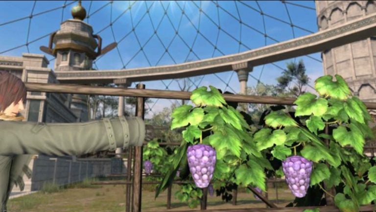Final Fantasy 14's low-poly grapes still have a low polygon count ...
