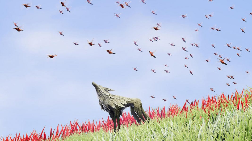 『Lost Ember』11月22日海外発売へ。さまざまな動物に変身し、美しき大自然を探索するアクションADV - AUTOMATON