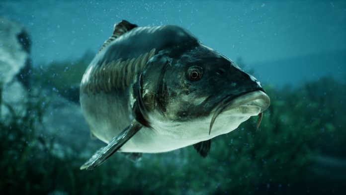 本格釣りシム『The Catch: Carp & Coarse』発表、2020年夏発売へ。“モンスター級”の魚相手に熾烈でリアルなフィッシング ...