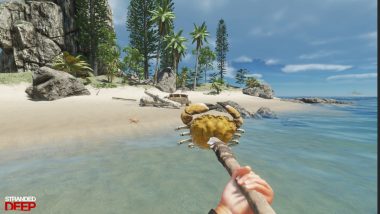 無人島サバイバル『Stranded Deep』PC版が正式リリース。7年以上の早期アクセス期間を経て、ついに正式デビュー - AUTOMATON